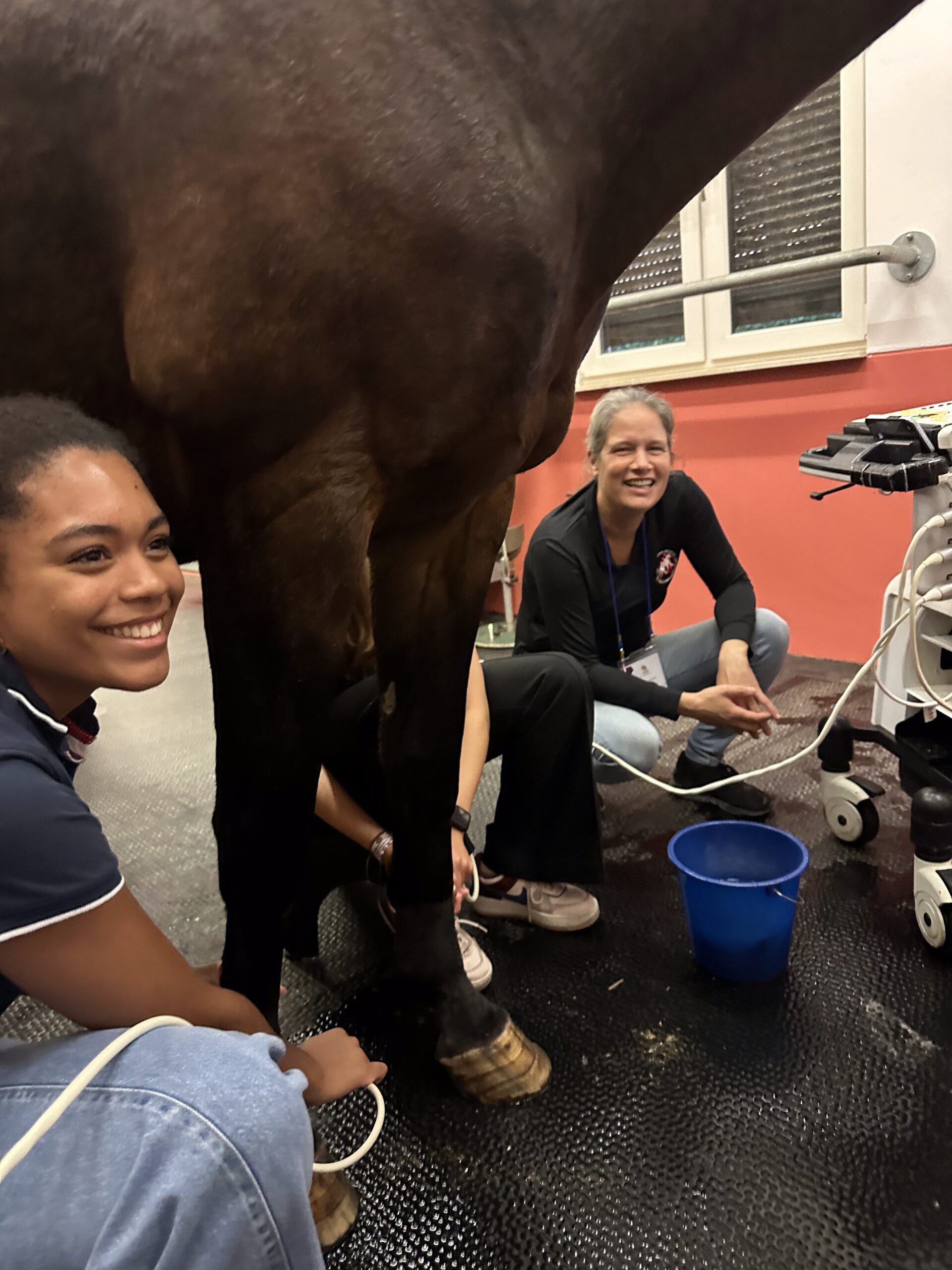 ISELP 2025 - Sporthorse Medical Diagnostic Centre